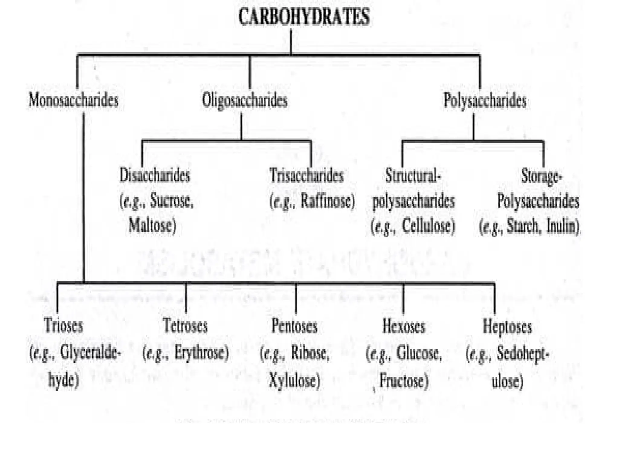biochemistry- unit1-carbohydrates-structure and functions | PPT