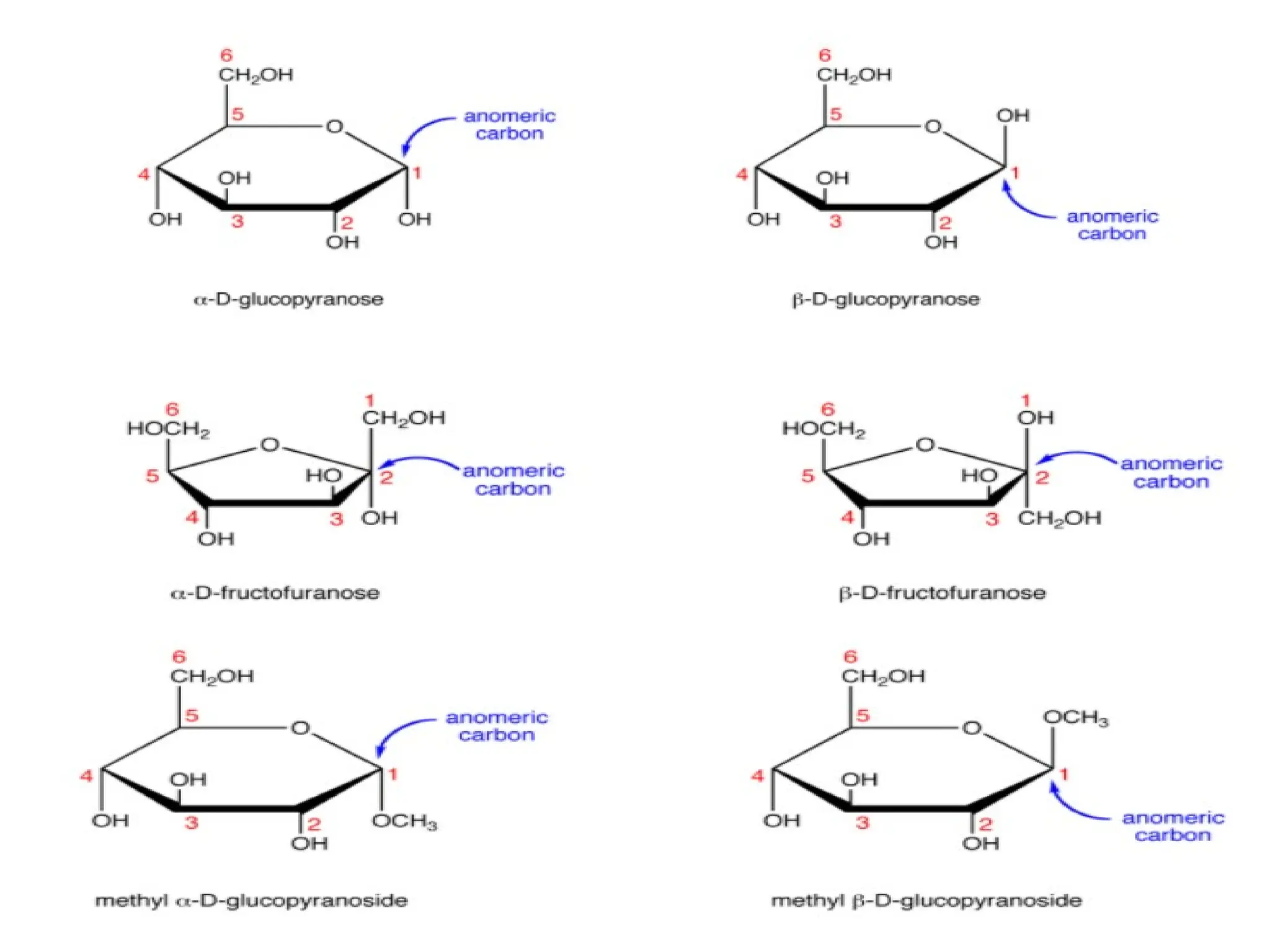 biochemistry- unit1-carbohydrates-structure and functions | PPT
