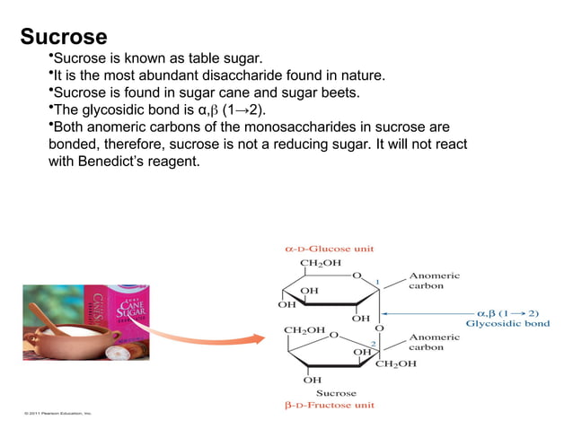 biochemistry- unit1-carbohydrates-structure and functions | PPT
