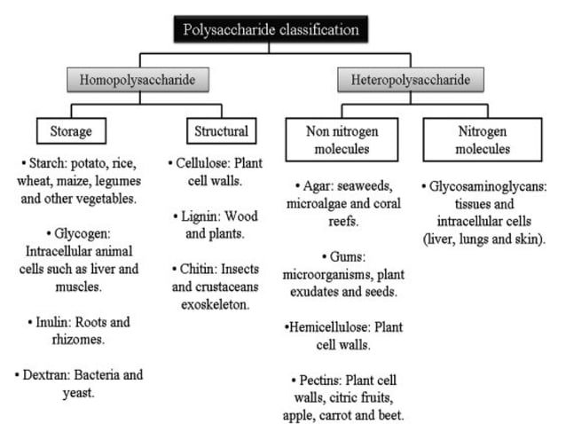 biochemistry- unit1-carbohydrates-structure and functions | PPT