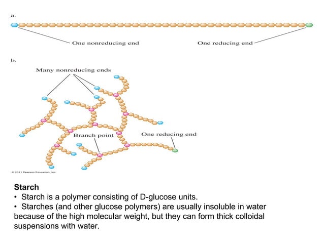 biochemistry- unit1-carbohydrates-structure and functions | PPT