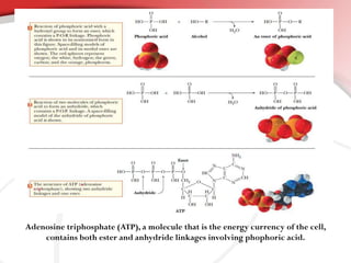Biochemistry | PPT