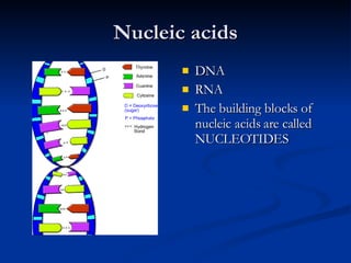 Biochemistry | PPT | Chemistry | Science
