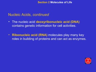 Biochemistry | PPT