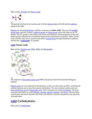 Biochemistry | DOCX
