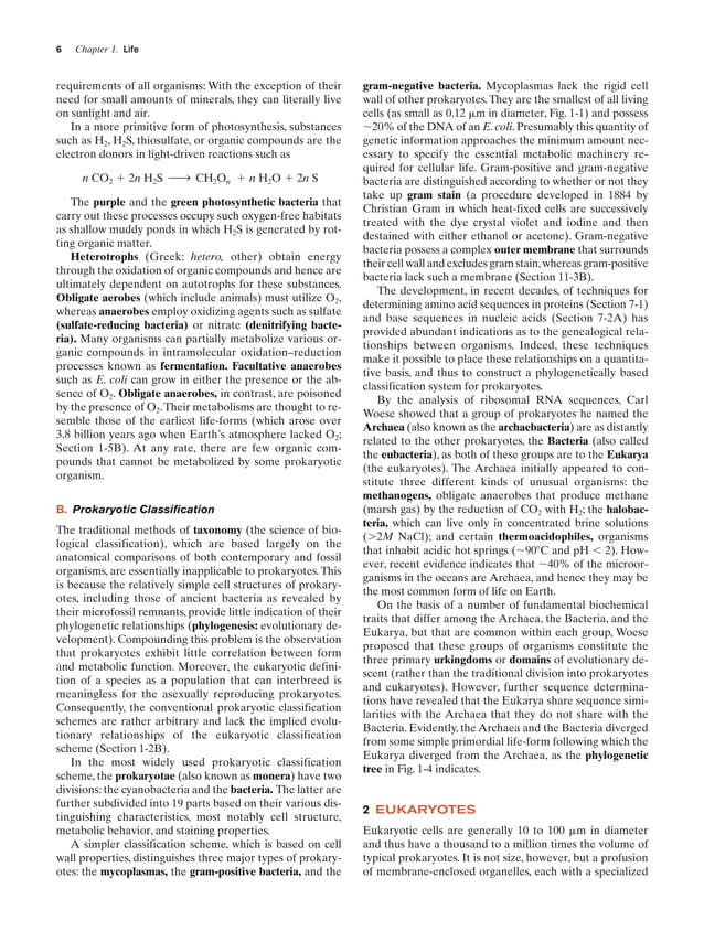 Biochemistry.4th.edition | PDF