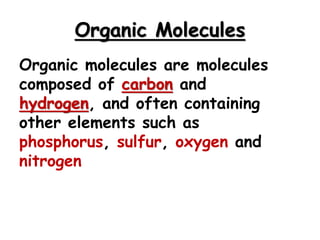 Biochem basics | PPSX