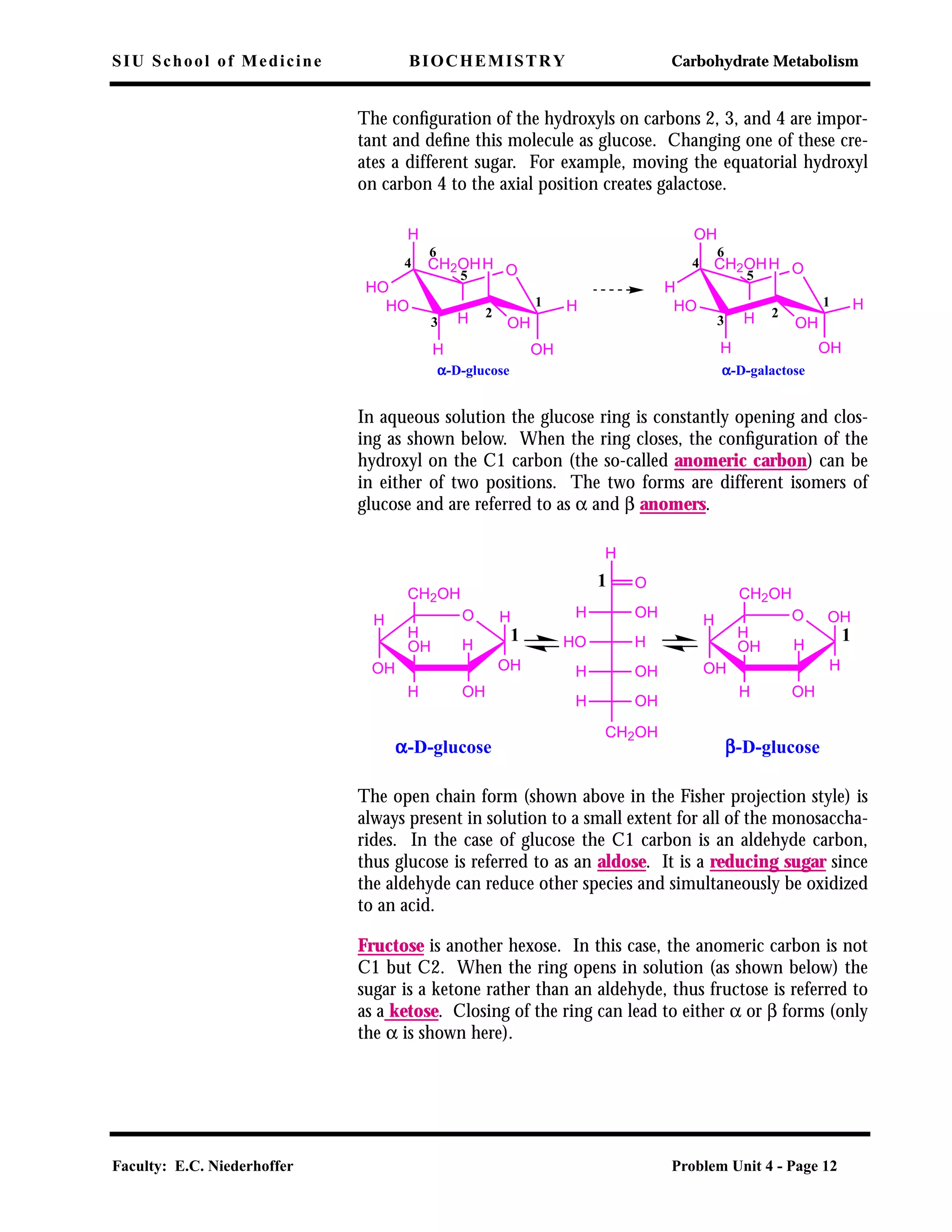 Biochemistry and molecular biology | PDF