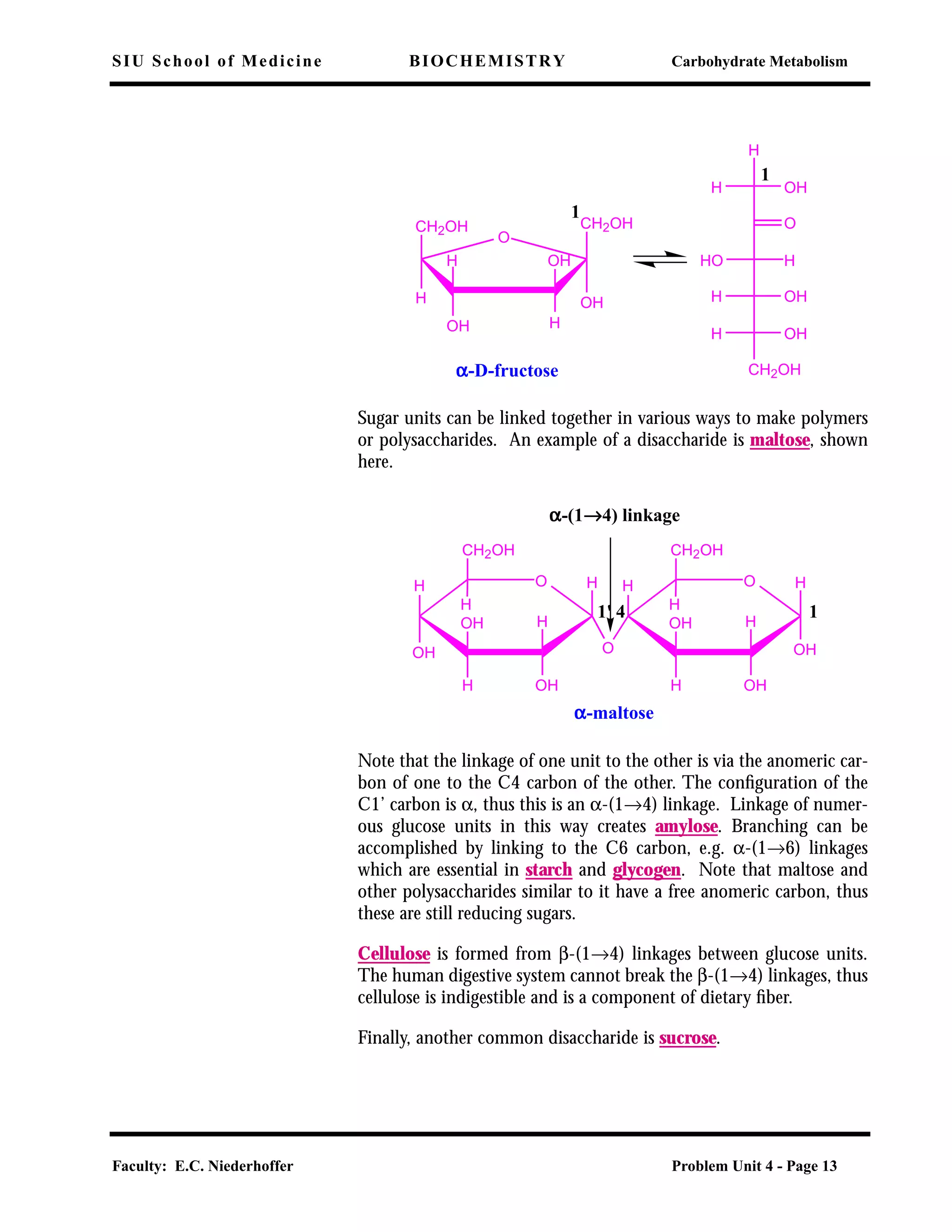 Biochemistry and molecular biology | PDF