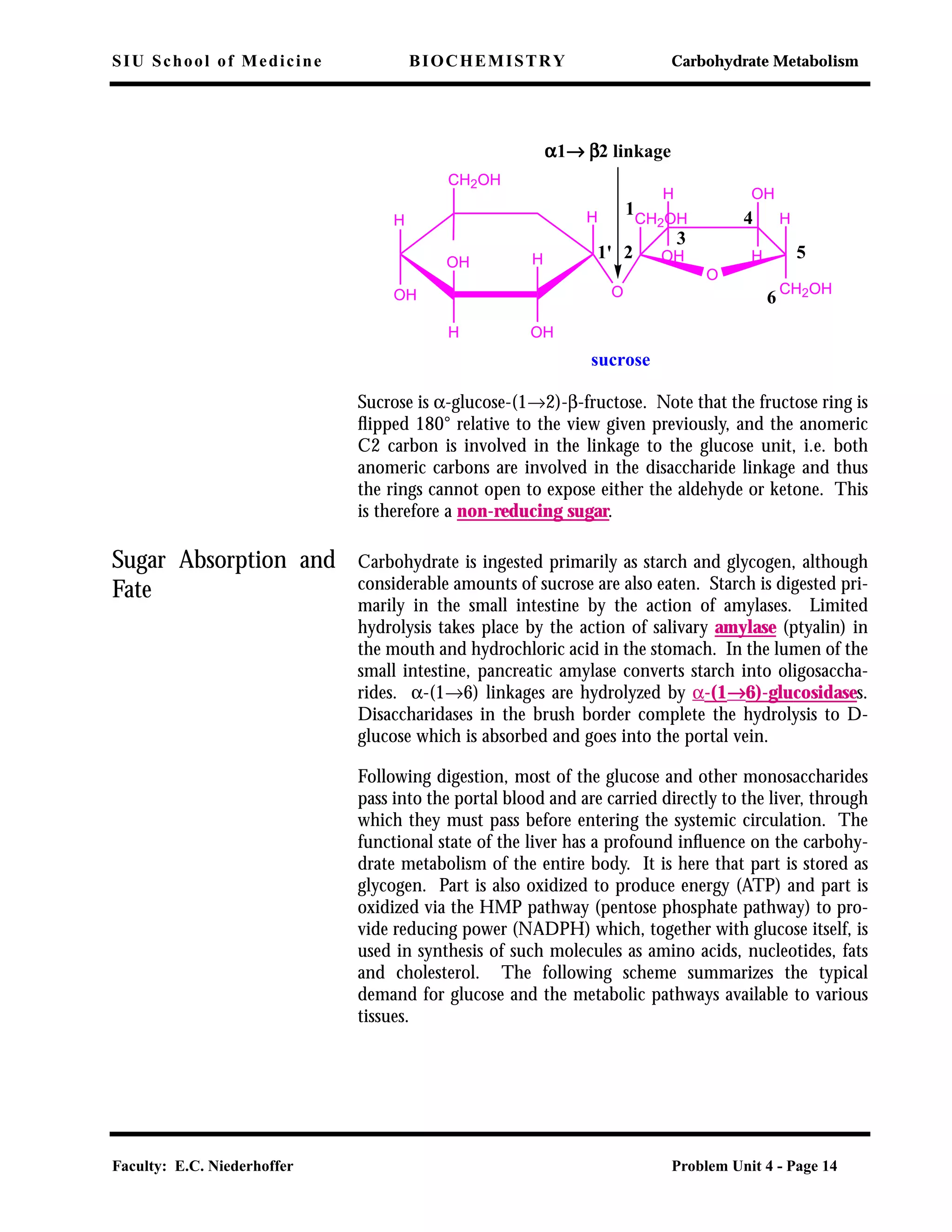 Biochemistry and molecular biology | PDF