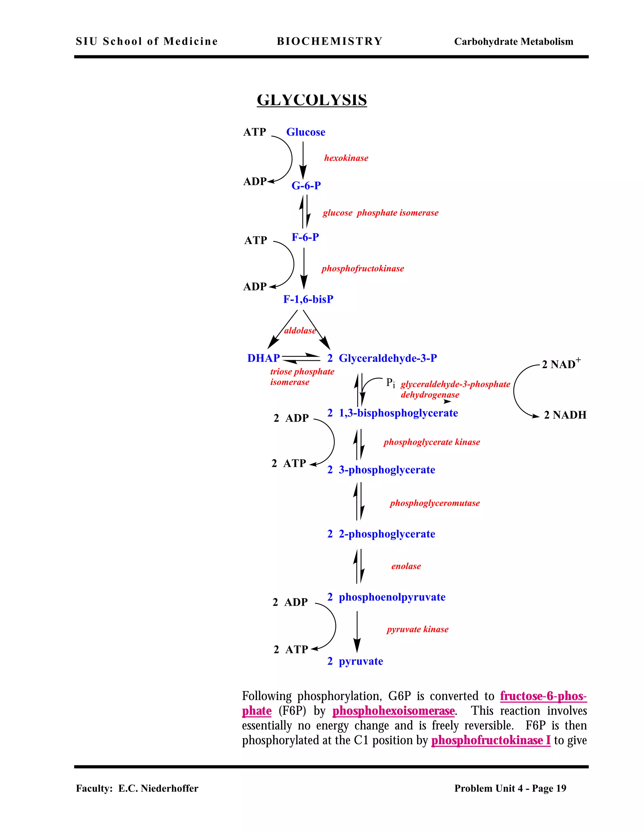 Biochemistry and molecular biology | PDF