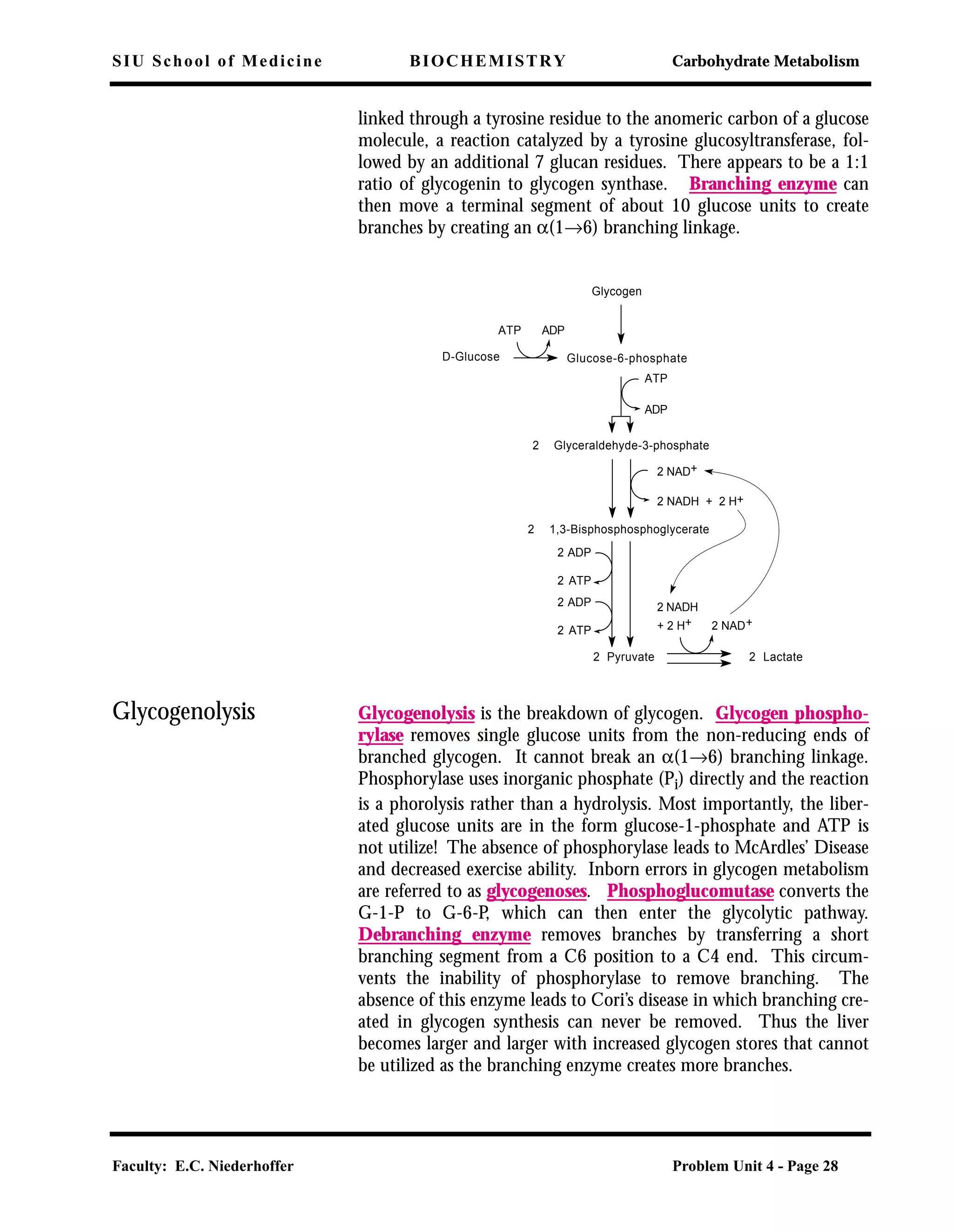 Biochemistry and molecular biology | PDF