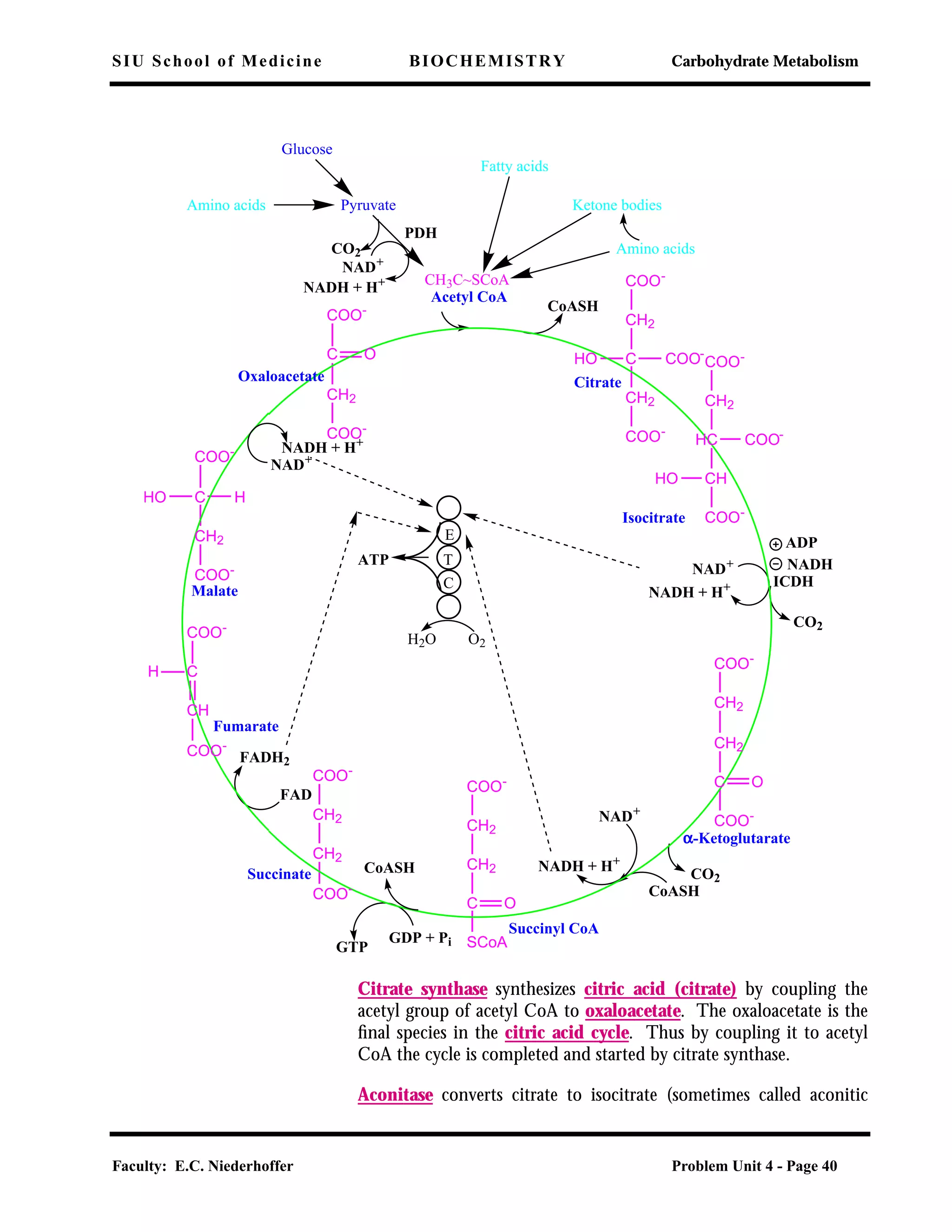 Biochemistry and molecular biology | PDF