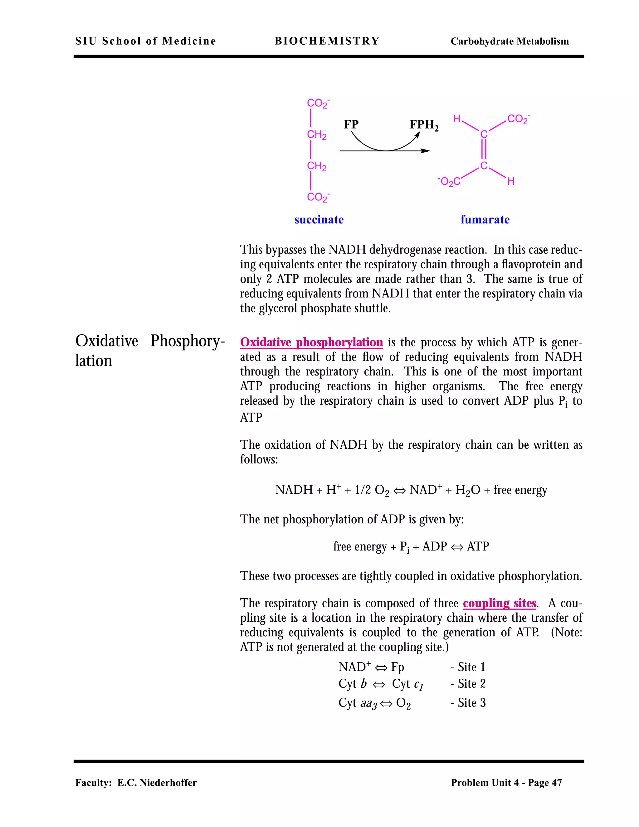 Biochemistry and molecular biology | PDF
