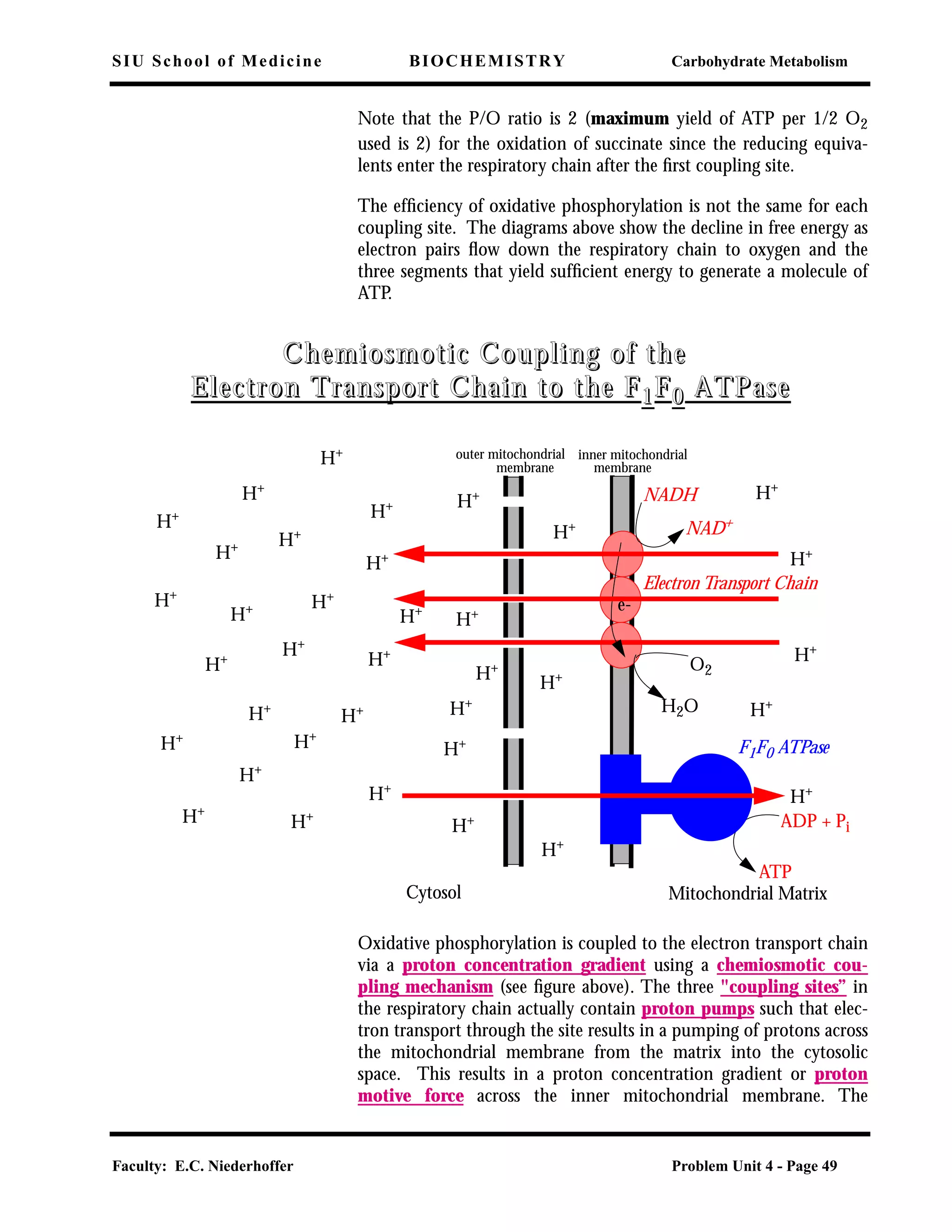 Biochemistry and molecular biology | PDF