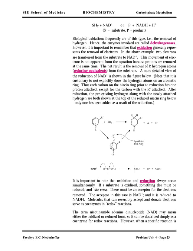 Biochemistry and molecular biology | PDF