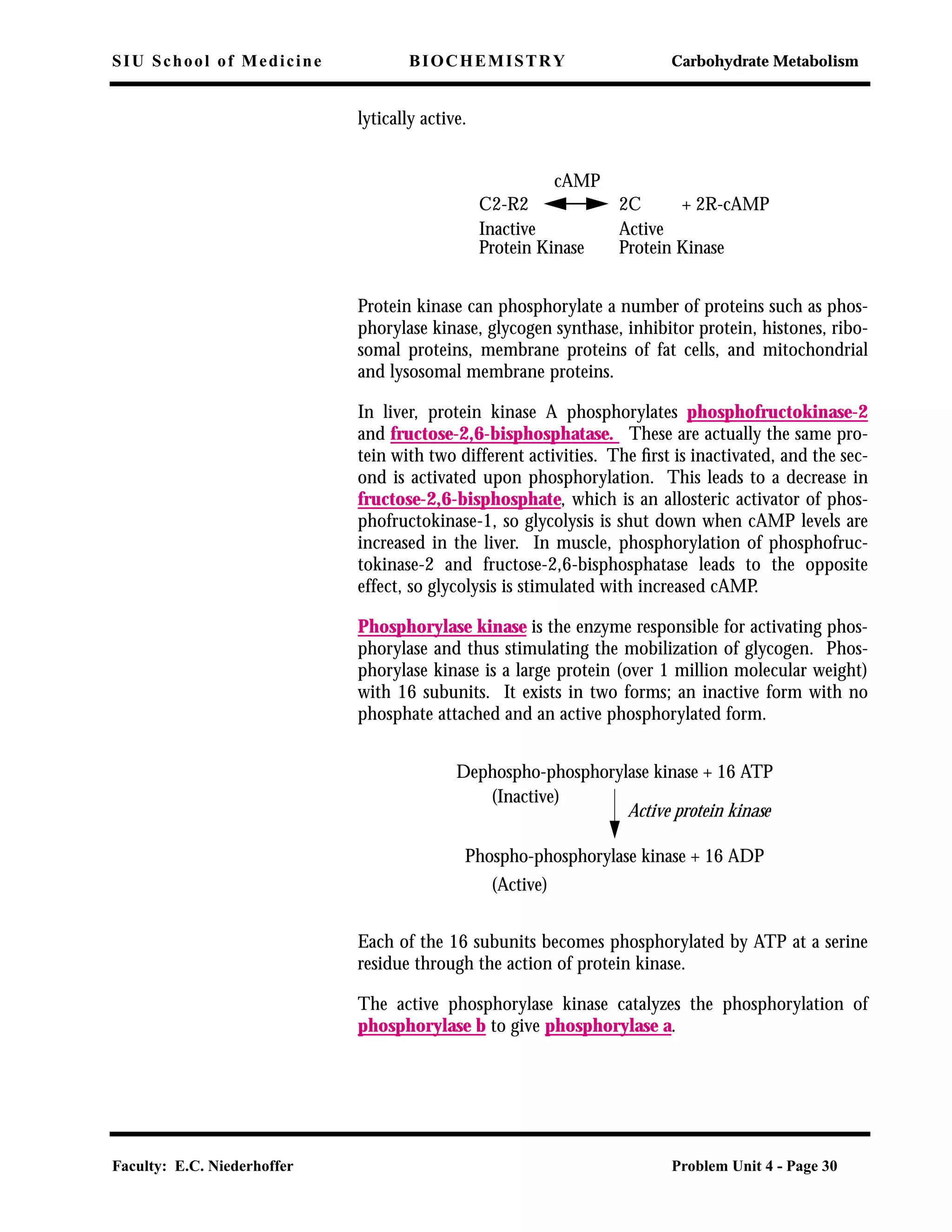 Biochemistry 150402010123-conversion-gate01 | PDF