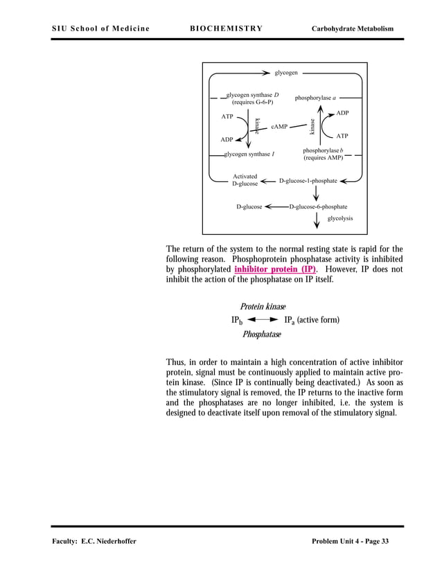 Biochemistry 150402010123-conversion-gate01 | PDF