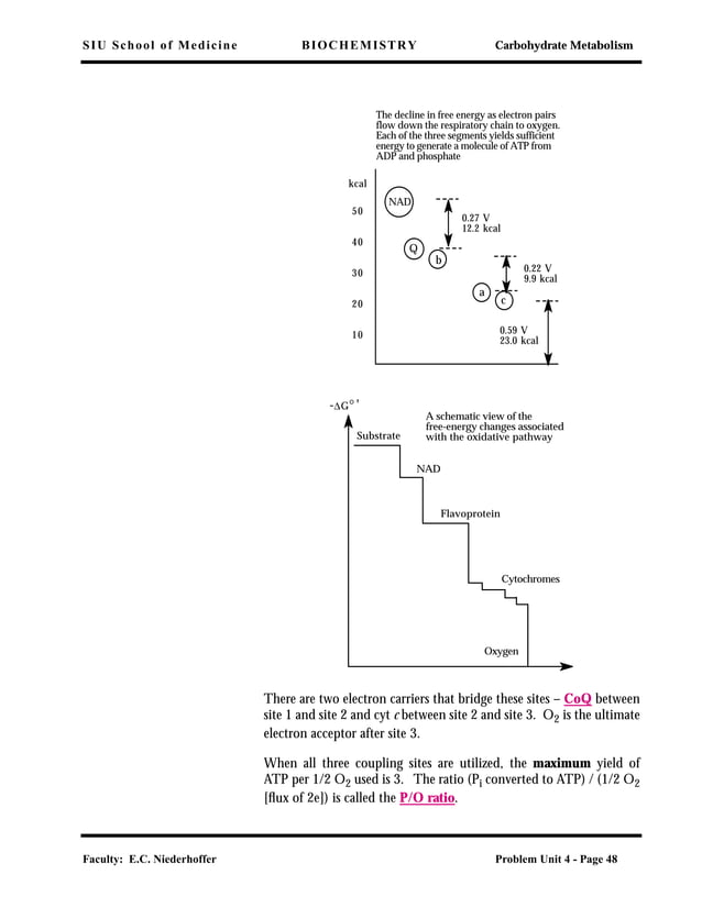 Biochemistry 150402010123-conversion-gate01 | PDF