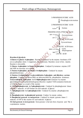 Biochemistry Biochemistry and clinical pathology -NOTES | DOCX