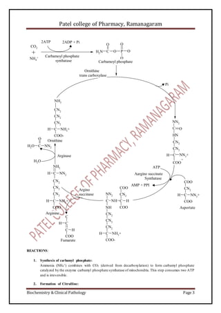 Biochemistry Biochemistry and clinical pathology -NOTES | DOCX