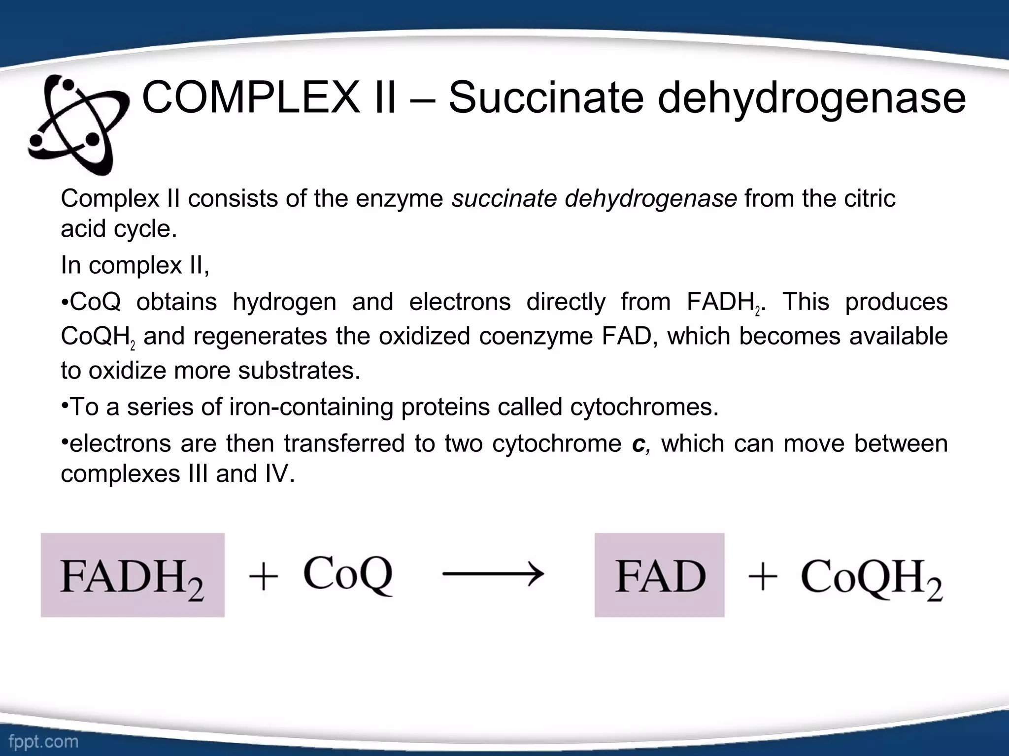 Biochemistry Electron transport chain | PPT