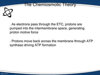 Biochemistry Electron transport chain | PPT