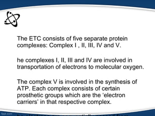 Biochemistry Electron transport chain | PPT