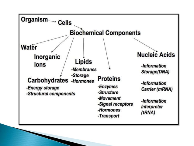 Introduction to Biochemistry and Clinical Pathology | PPTX