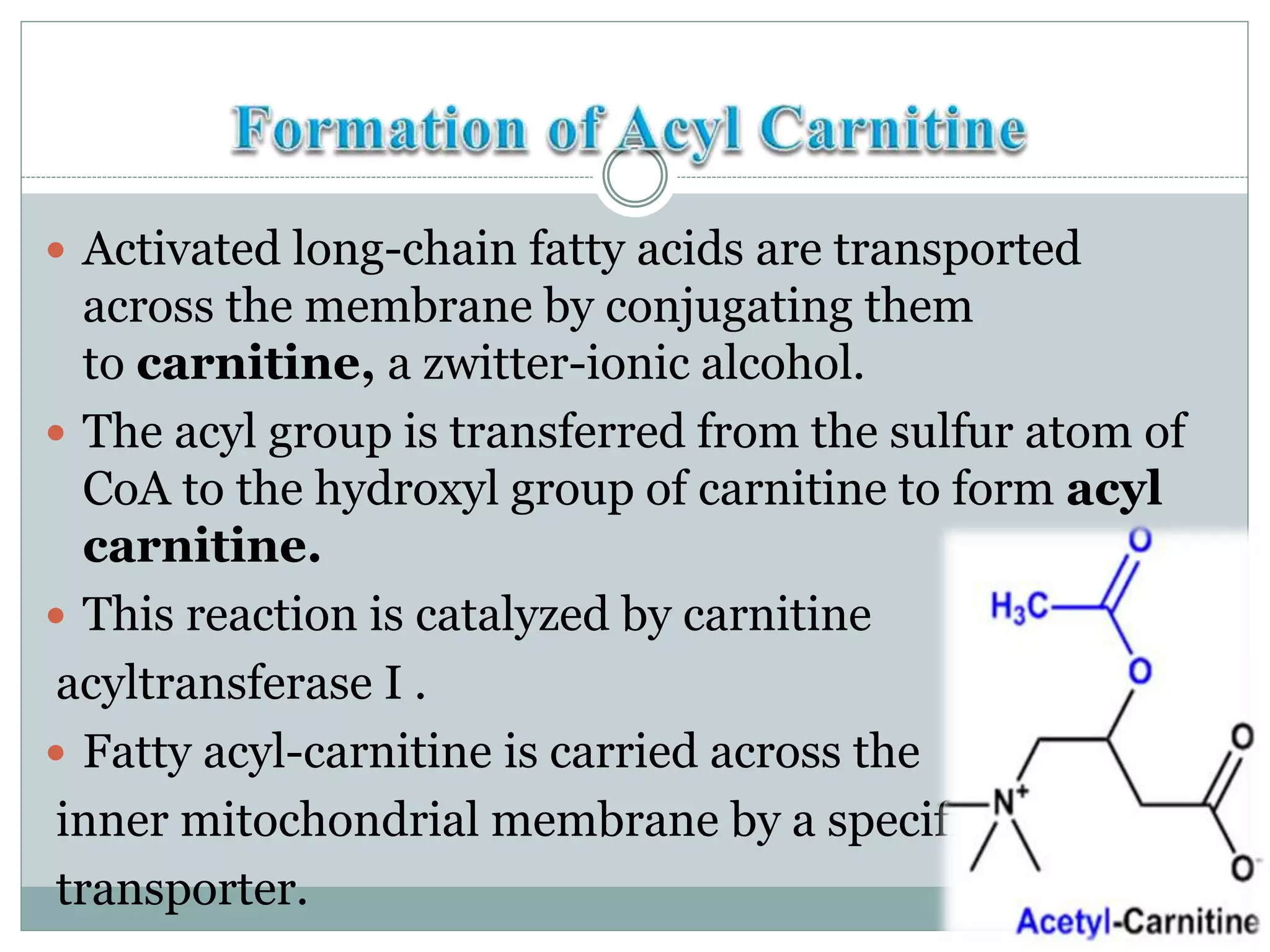 fatty acid activation and transport | PPTX
