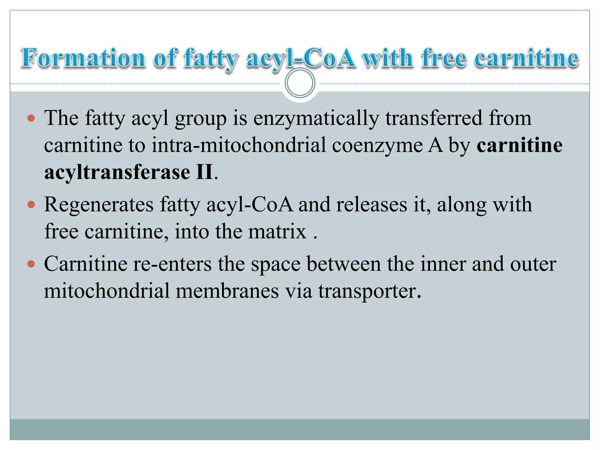 fatty acid activation and transport | PPTX