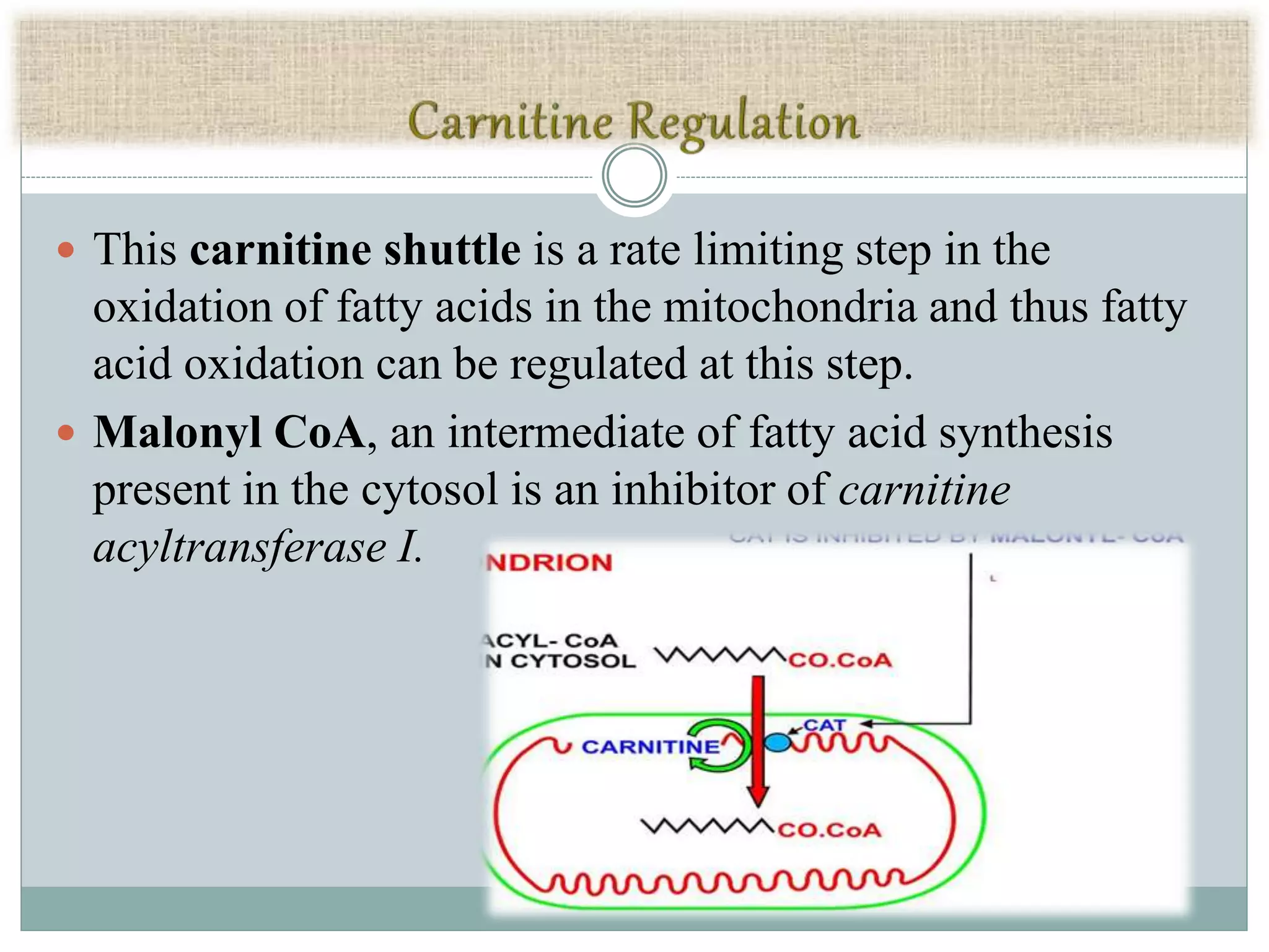 fatty acid activation and transport | PPTX