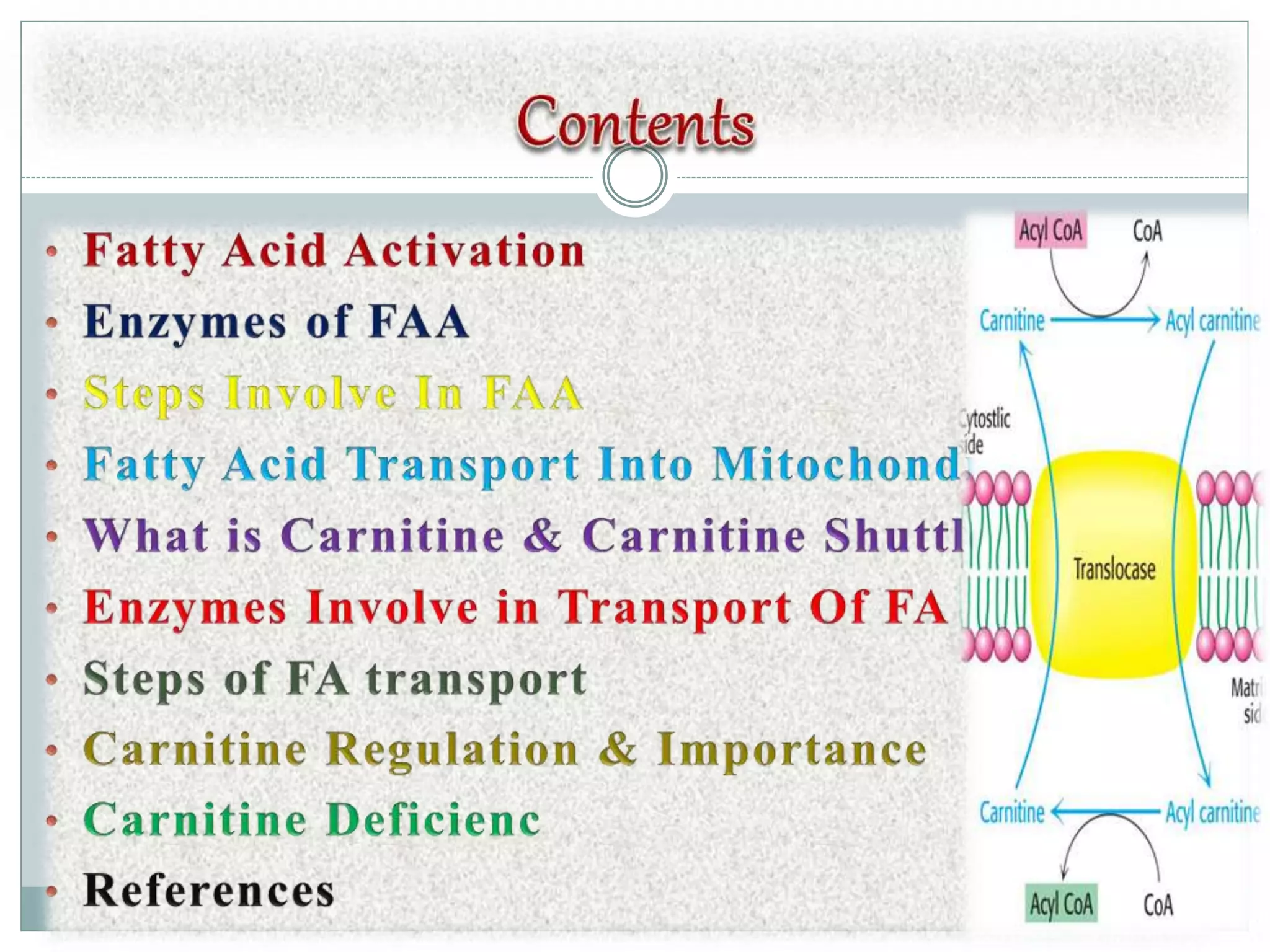 fatty acid activation and transport | PPTX
