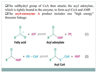 fatty acid activation and transport | PPTX