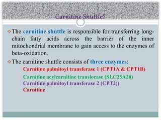 Carnitine Shuttle System