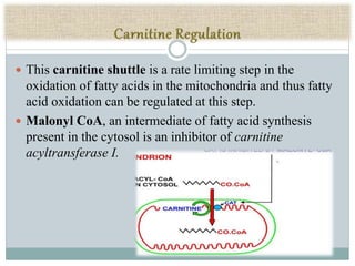 fatty acid activation and transport | PPTX