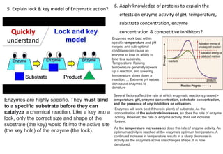 BIO CHEMISTRY.pptx