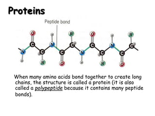 Biochemistry.ppsx