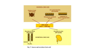 Small-Molecule nitrogenous and non-nitrogenous compunds of bloof serum ...