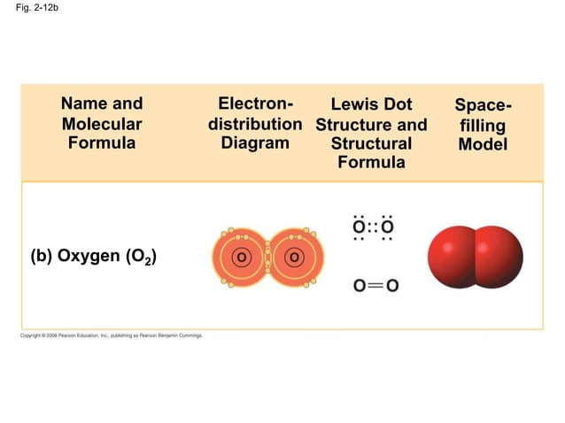 biochemistry.pptbiochemistry.pptbiochemistry.pptbiochemistry ...