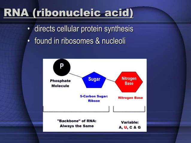 biochemistry.ppt.Definitions of the biochem | PPT