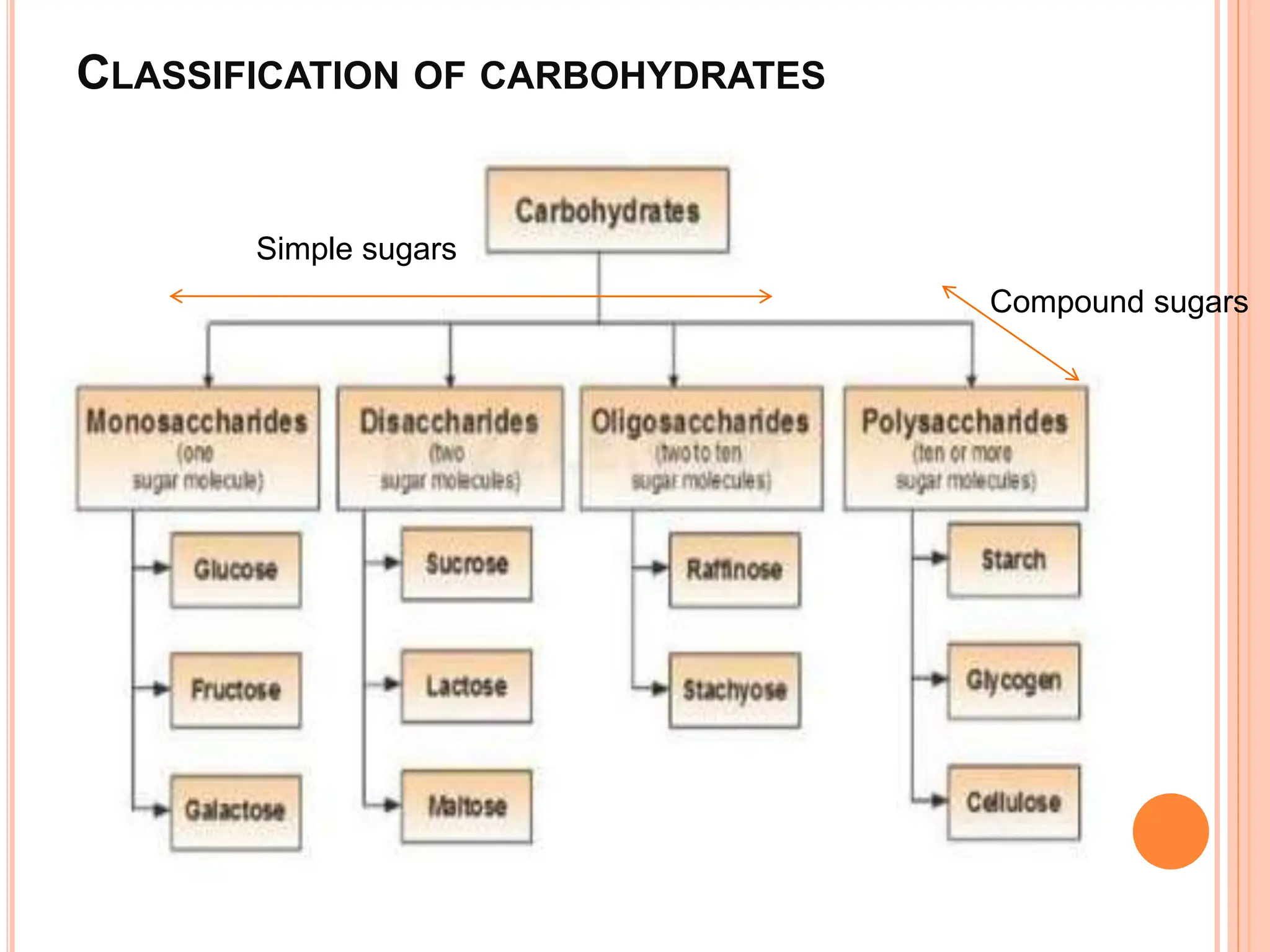 Biochemistry carbohydrates classification | PPT