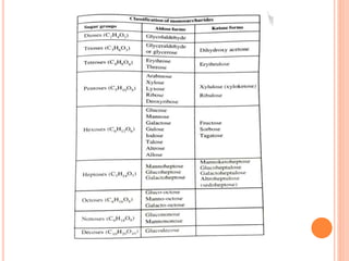 Biochemistry carbohydrates classification | PPT