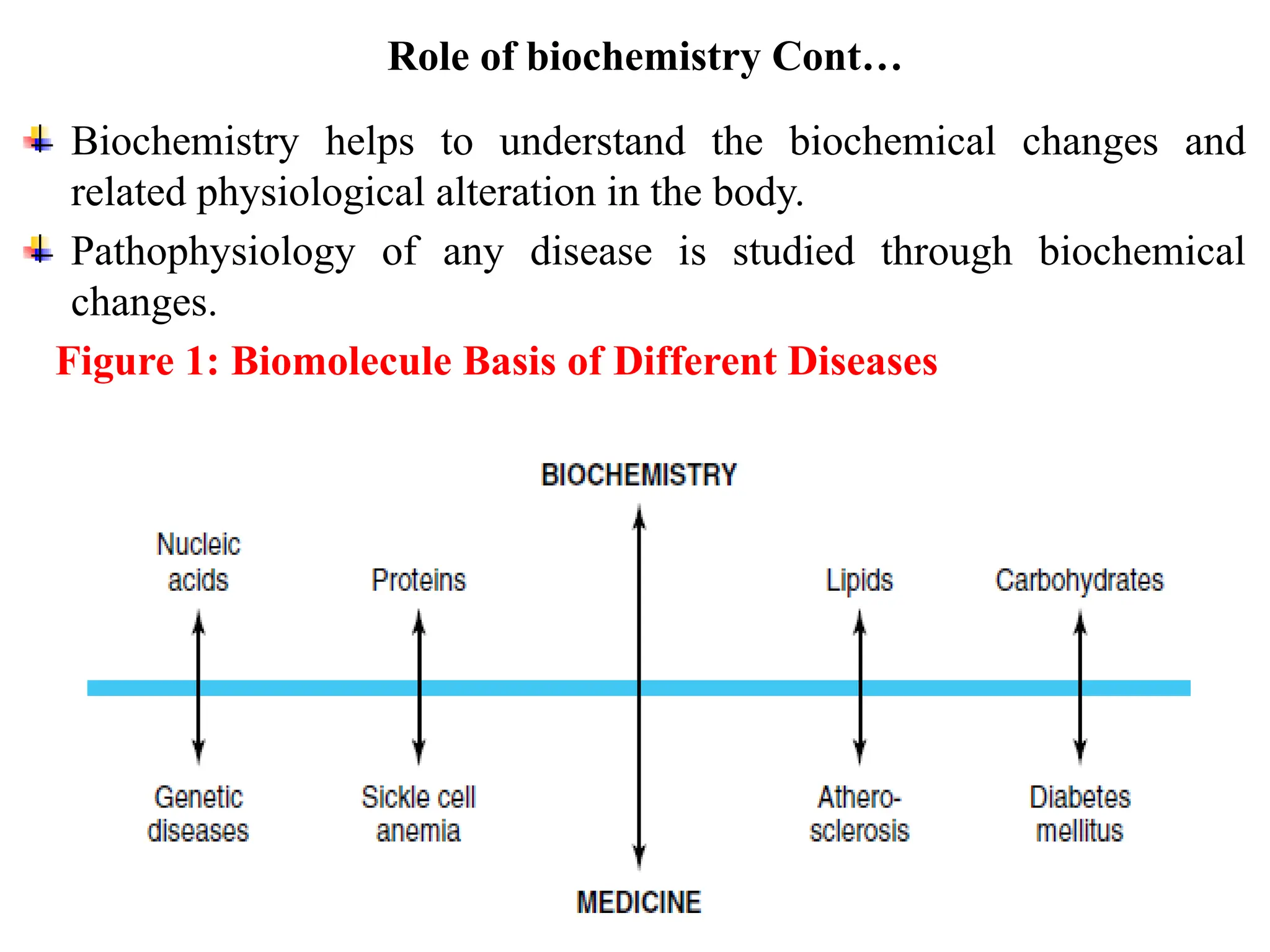 Introduction to biochemistry medical note.pptx