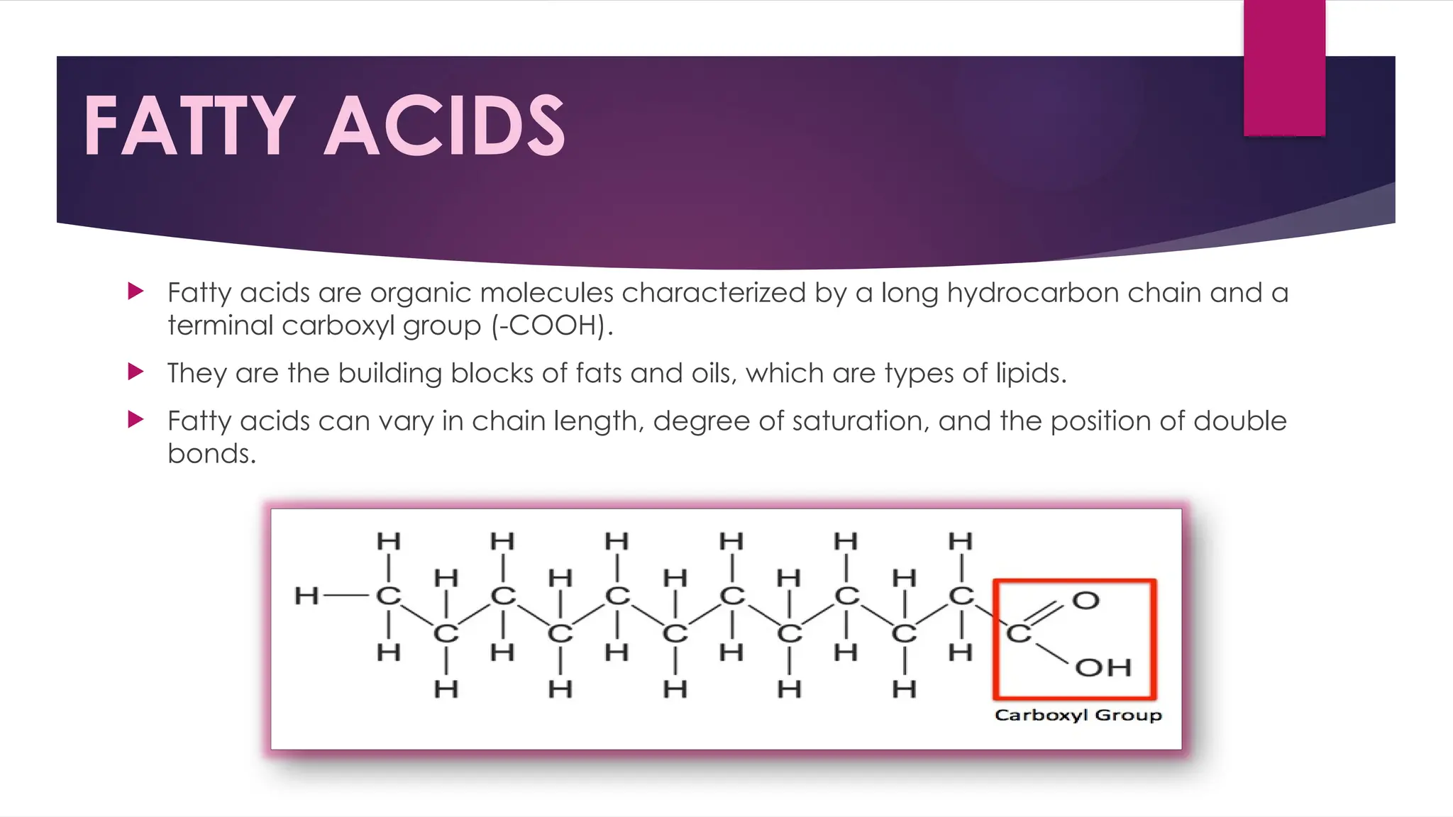 Biosynthesis of fatty acids and beta oxidation | PPTX