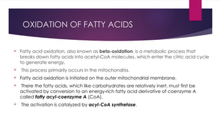 Biosynthesis of fatty acids and beta oxidation | PPTX