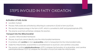 Biosynthesis of fatty acids and beta oxidation | PPTX