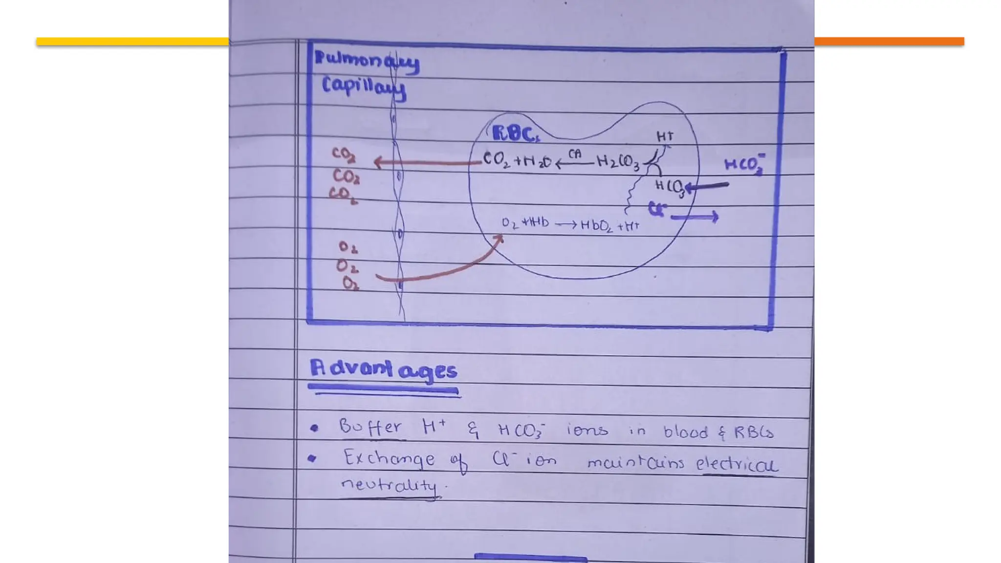 BIOCHEMISTRY guidelines for mbbs 1st year.pptx