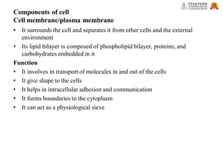 Introduction to Biochemistry – Cell Organelles, Functions ...