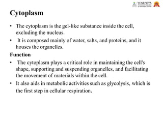 Introduction to Biochemistry – Cell Organelles, Functions ...
